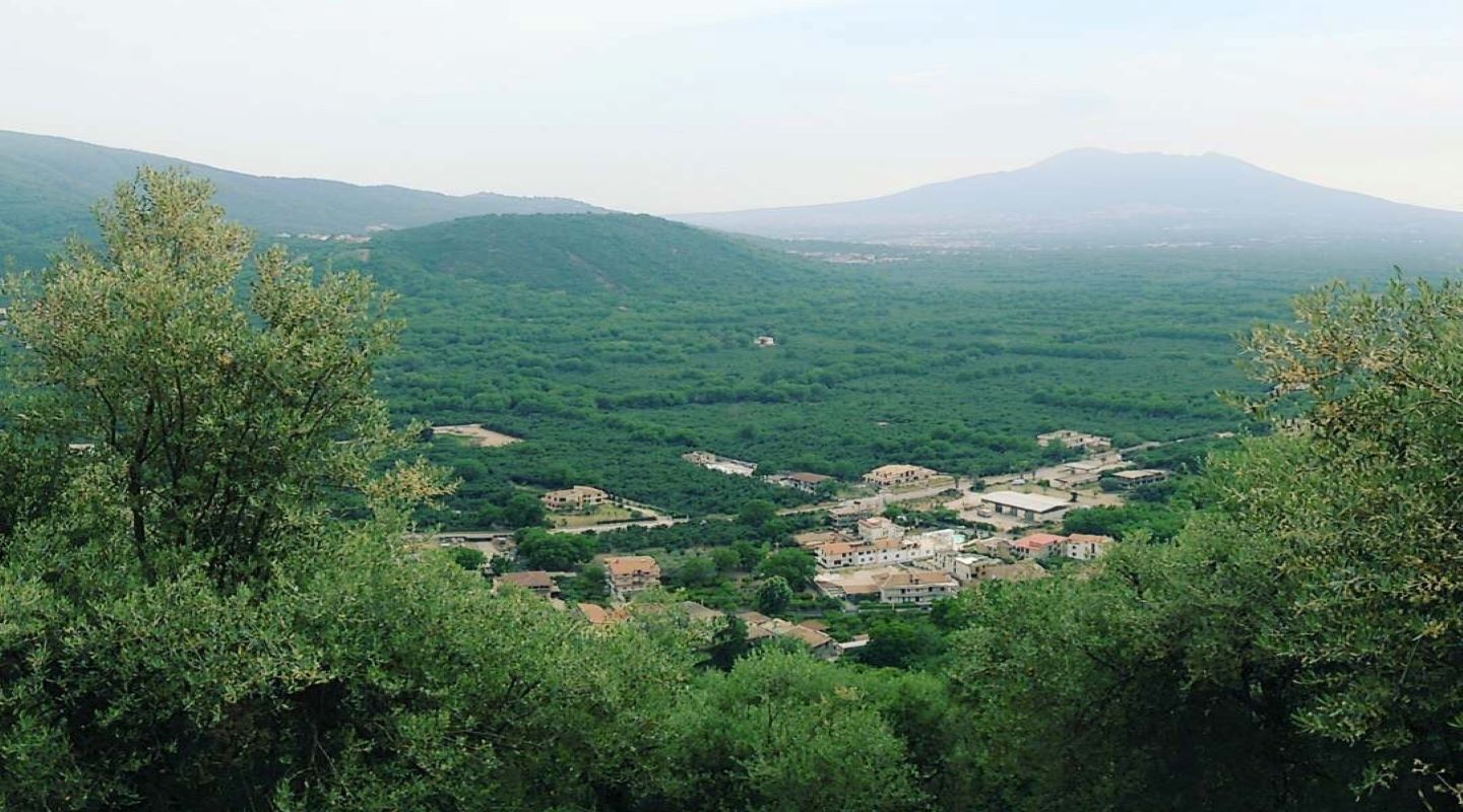 Pago del Vallo di Lauro | Sistema Irpinia