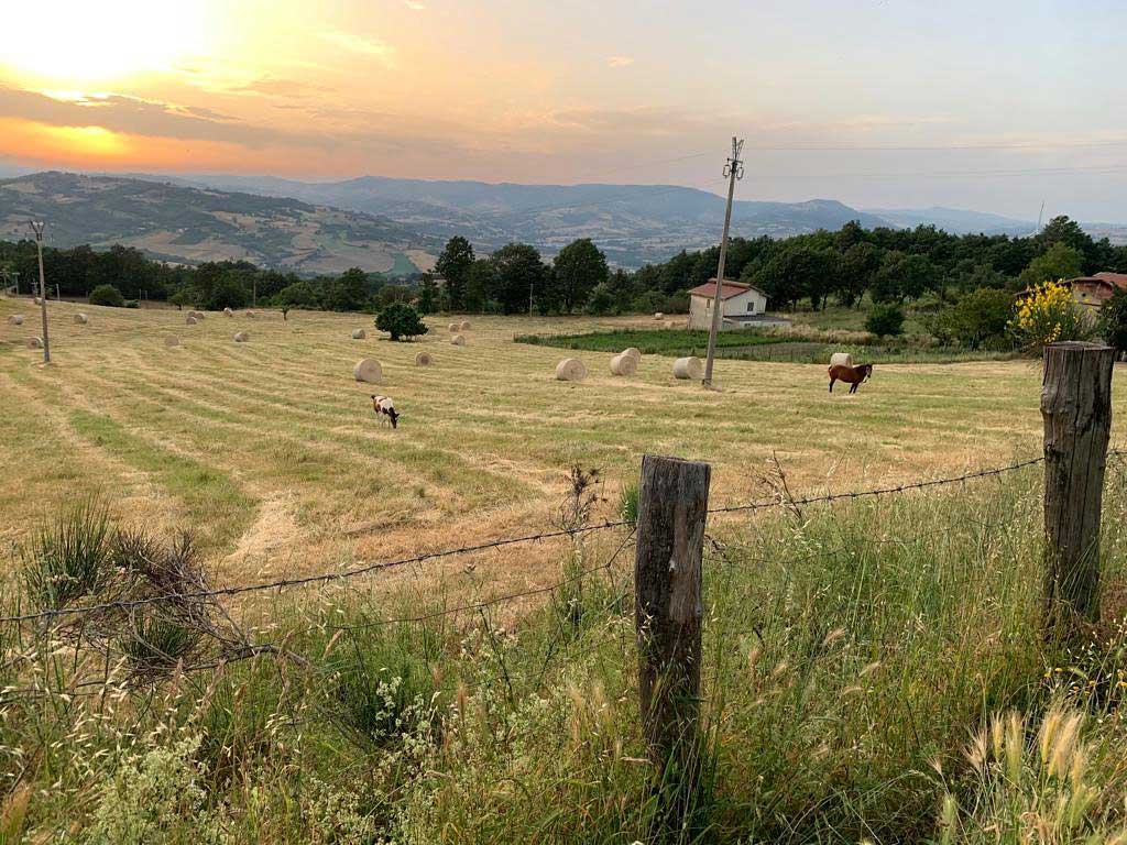 Teora | Sistema Irpinia